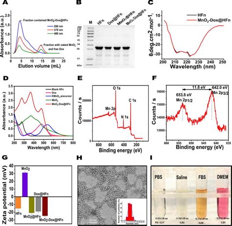 Innate Tumor Targeted Nanozyme Overcoming Tumor Hypoxia For Cancer