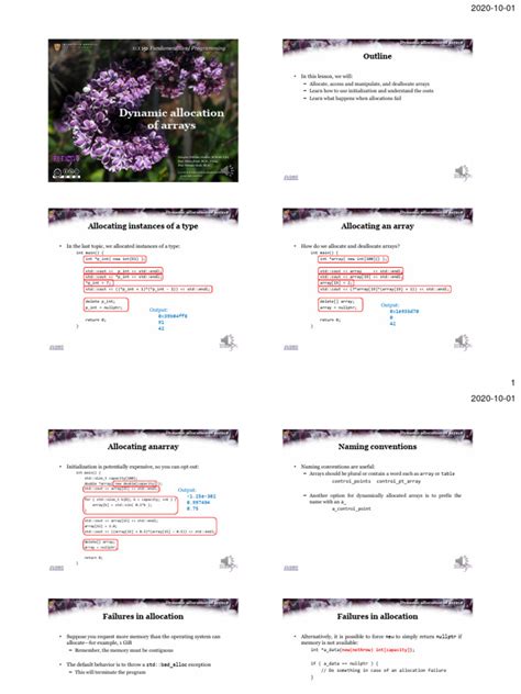 2 03 Dynamic Allocation Of Arrays Pdf Computer Programming Software Engineering