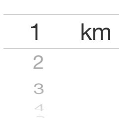 Iphone Fixed Labels In The Selection Bar Of A Uipickerview Stack Overflow