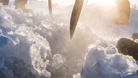 Scientists Revive Year Old Zombie Virus Buried In Ice Dailynewser Com