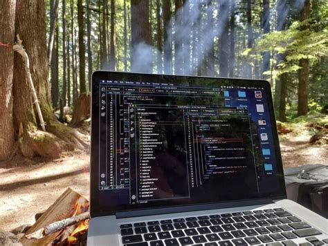 Softwaredeveloper Softwareengineer Softwareengineering Nature Alicia Parris