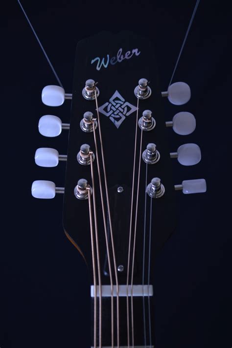 Octave Weber Vintage Style Bitterroot A Mandolin Store