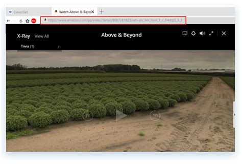 Cleverget All Inclusive Online Stream Video Downloader And Recorder