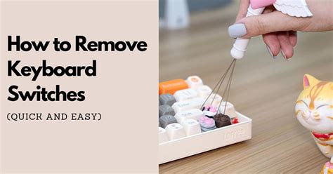 How To Remove Keyboard Switches Quick And Easy