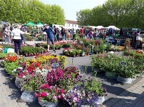 Saint André De Cubzac Les Floralies Se Dérouleront Le 1er Mai