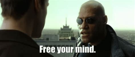 The Matrix Has You Computer Screen  887×500 The Matrix