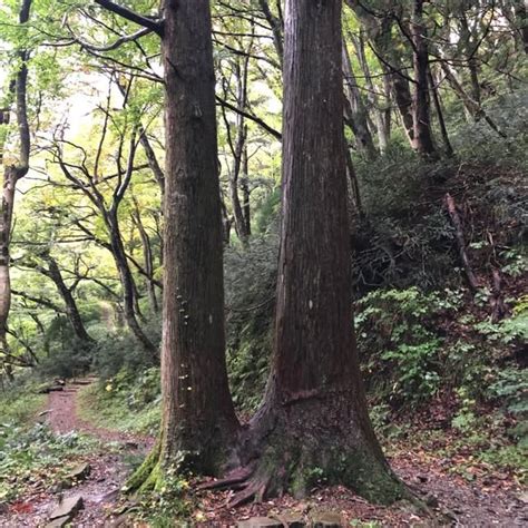 ハヤシ Junko111111 • Threads Say More ハヤシ Junko111111 • Threads Say More