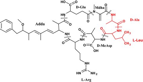 The Molecular Structure Of Mc Lr Download Scientific Diagram