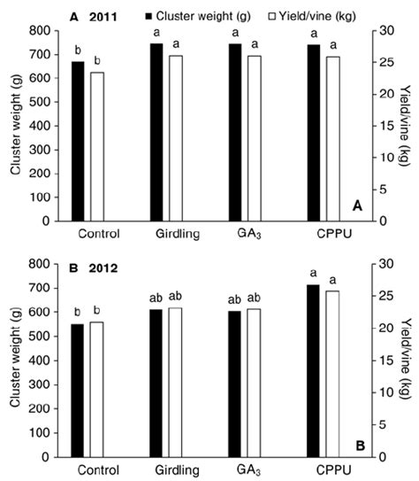 Effects Of Girdling And Of Ga 3 And Cppu Application On Cluster Weight