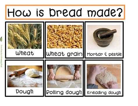 Creative Curriculum Teaching Strategies Gold Bread Anchor Chart Tpt