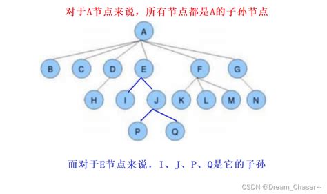 【数据结构与算法】树、二叉树的概念及结构 详解 判断一棵树是什么类型的二叉树的算法数据结构 csdn博客