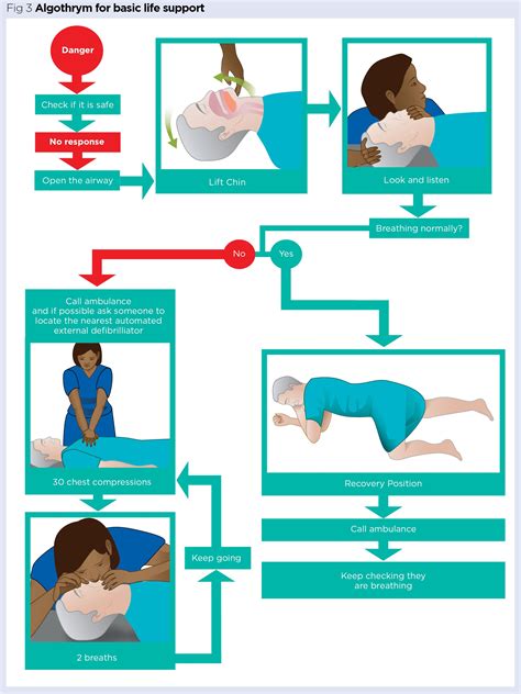 Out Of Hospital Resuscitation 1 Adult Basic Life Support Nursing Times