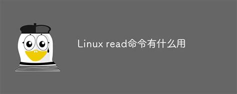 Linux Read命令有什么用 Linux运维 Php中文网 Linux Read命令有什么用 Linux运维 Php中文网