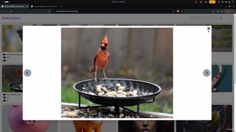 Svelte Kit Bootcamp Basic To Advance Build 2 Real Projects Coupon
