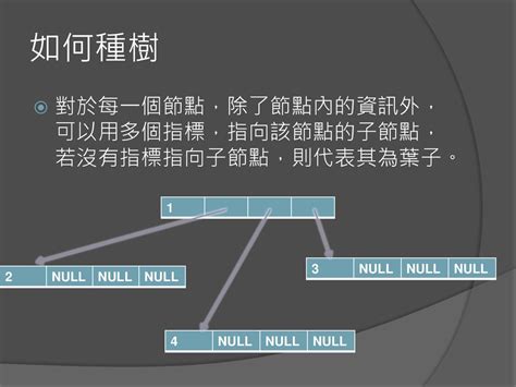 動態記憶體配置 ppt download