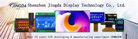 Professional Factory Custom COB Tn Htn Positive Negative Backlight LCD Monochrome Segment