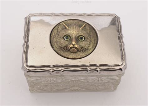 Brass Cat Face On Vanity Jars And Not Only Jars Antiques Board