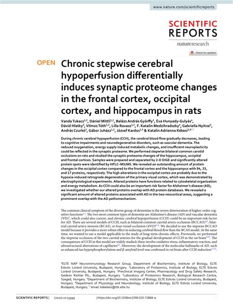 Pdf Chronic Stepwise Cerebral Hypoperfusion Differentially Induces