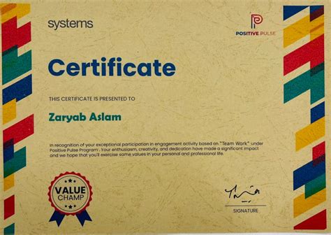 Positivepulse Techvista Systems Zaryab Aslam
