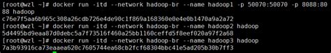 使用docker部署hadoop集群 手把手复现 docker部署hadooo集群 csdn博客