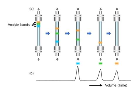 Hplc Separation Fundamentals Hplc Filter System Rkif