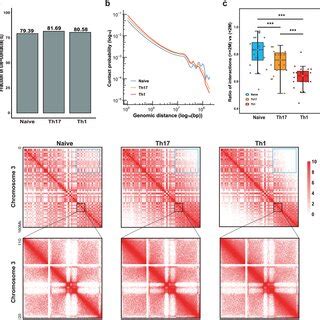 T Cell Differentiation Leads To Increased Short Range And Decreased Download Scientific Diagram