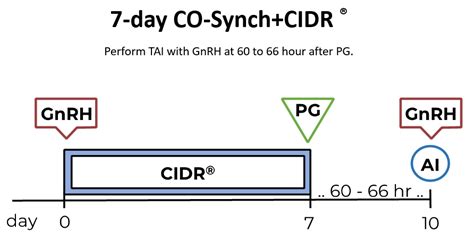 Sexed Semen Protocols Beef Reproduction Task Force