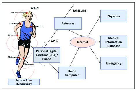 ieee 802 15 6 standard based body sensor networks applications
