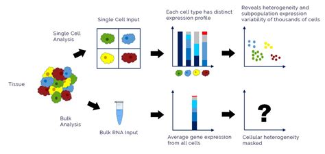 healthcare research industry reports on linkedin cellular ngs