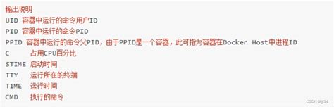 使用容器运行nginx及docker命令介绍nginxlatest Csdn博客