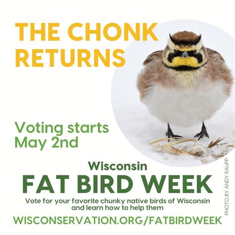Natural Save The Date Wisconsin Fat Bird Week Returns Friday May