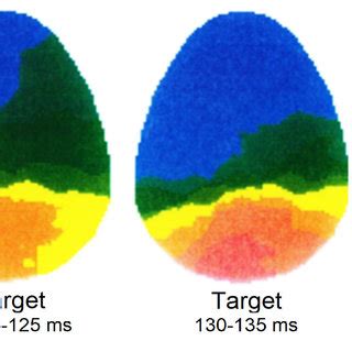 Topographical Maps Top View Of The Scalp Voltage Of The P1 Component Download Scientific