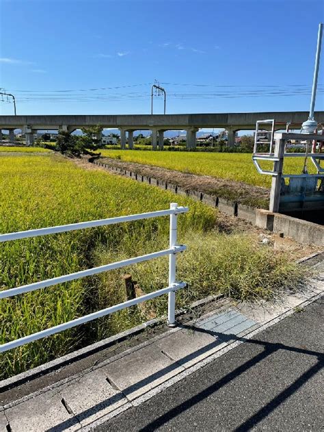 物件詳細 売買 土地｜愛知県津島市寺前町1丁目