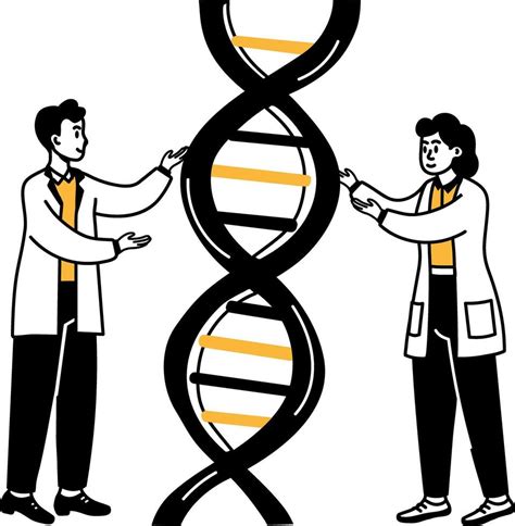 Two Character Research On Genetics Drawing Style Icon 60385124 Vector
