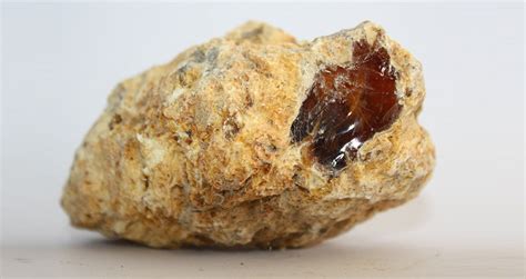 Ambergris The Whale Vomit Thats More Valuable Than Gold