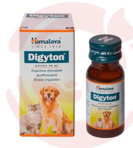 Digyton Drops 30 Ml For Personal Syrup At ₹ 200 Piece In Nagpur Id