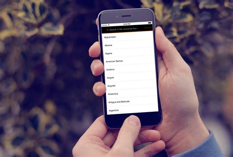How To Create A Custom Search Bar Using Uisearchcontroller