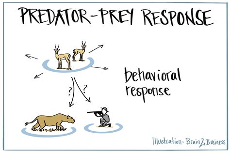 Dc3 Predator Prey Response Wilddrone