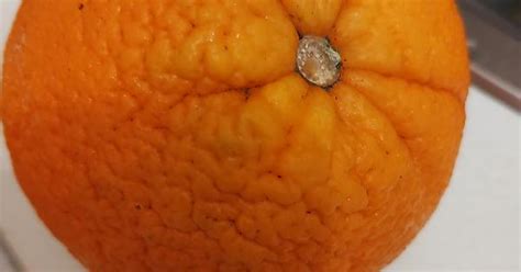 Rotten Oranges 2 Album On Imgur