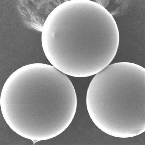 Sem Micrographs Of Single Resin Beads Download Scientific Diagram