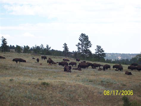 Engineering 0011 Teaching Page