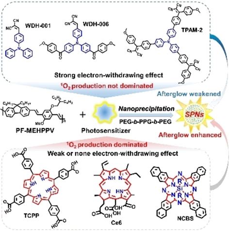 Afterglow Performance Of Phenylenevinylene‐based Semiconducting Polymer