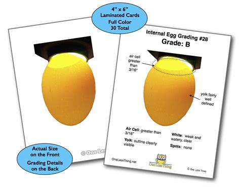 Interior Egg Grading Poultry Cde Cards One Less Thing