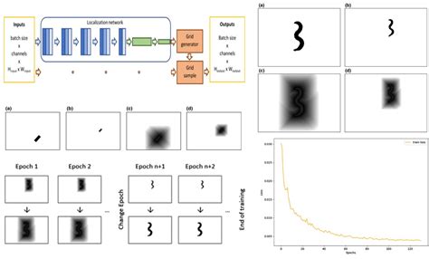 Multi View Prototype Avicemis