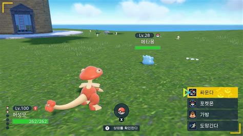 이로치 메타몽 [포켓몬스터 스칼렛 바이올렛] Youtube