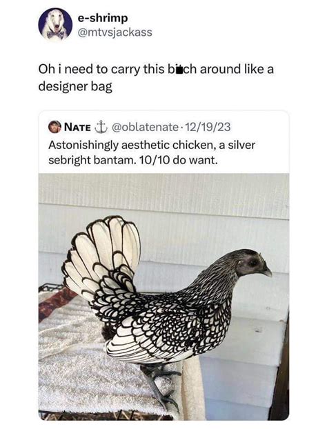 Maybe Fumi Abe Is Right R Dropout