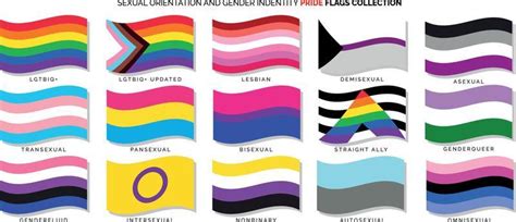 Gender Identity Vector Art Icons And Graphics For Free Download