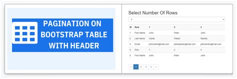 Bootstrap Table Responsive Hoverable Borderless And Sorting Searching Paging Using Datatablejs