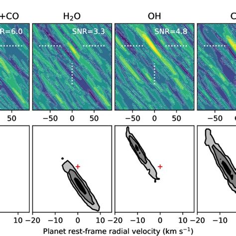 top row cross correlation maps of the species detected in the