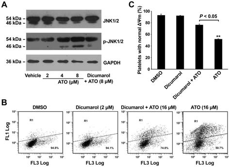A Washed Platelets Were Pre Treated With Or Without Dicumaol 2 μm